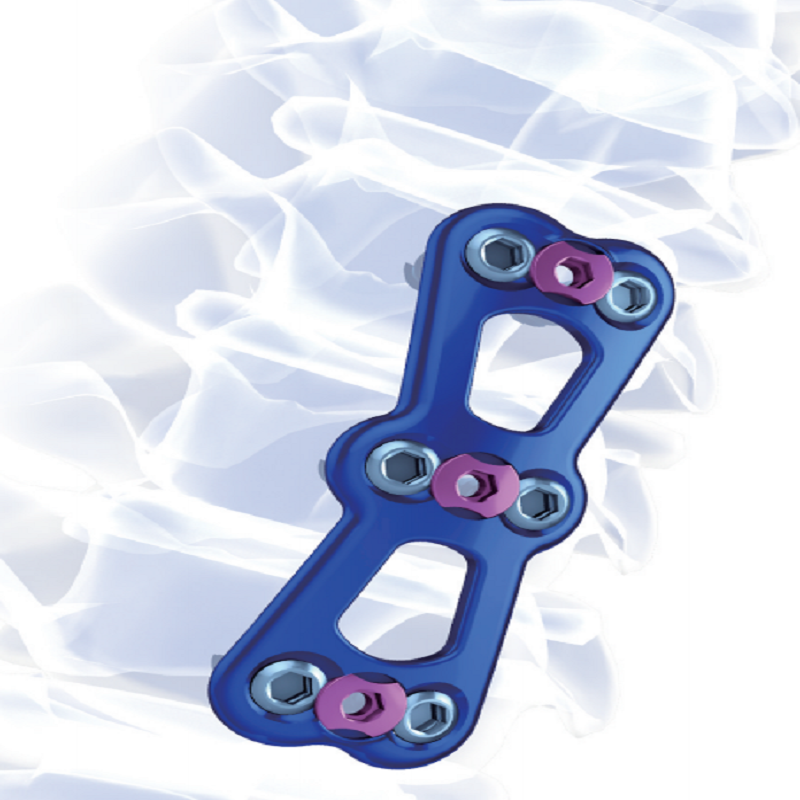 ASPIRE Anterior Cervical Spinal Plate and Screw System - Professional ...